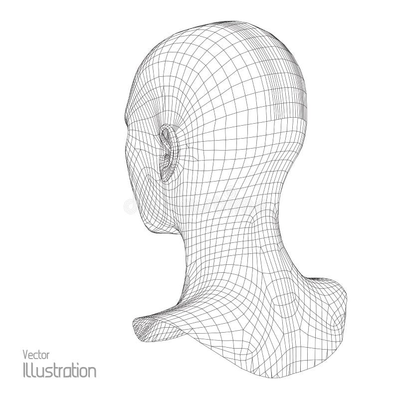 Head of the Person from a 3d Grid. Human Wire Model. Polygon . Face ...