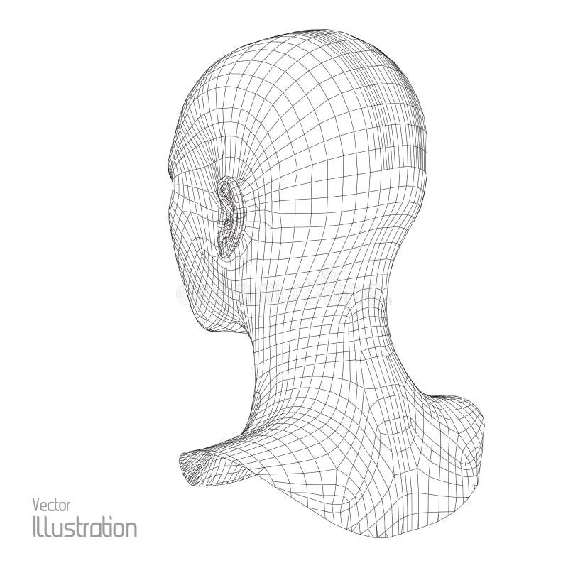 Head Person 3d Grid Human Head Wire Model Human Polygon Head Face ...