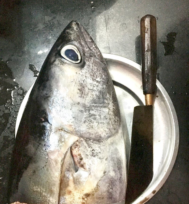 Head Piece Big Tuna Fish Knife Stock Photos - Free & Royalty-Free Stock ...