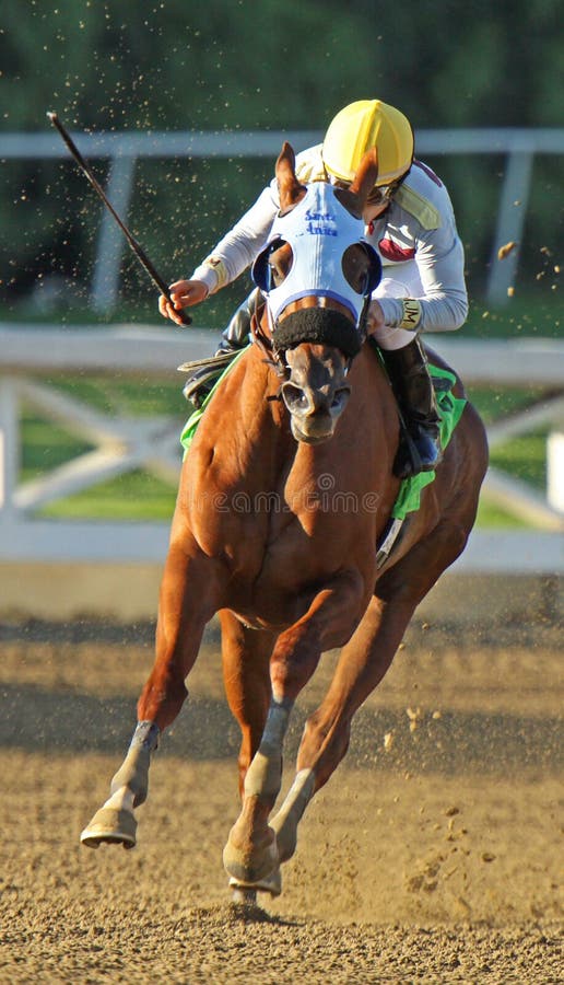 Head on Racing Action editorial stock image. Image of fast - 17592949
