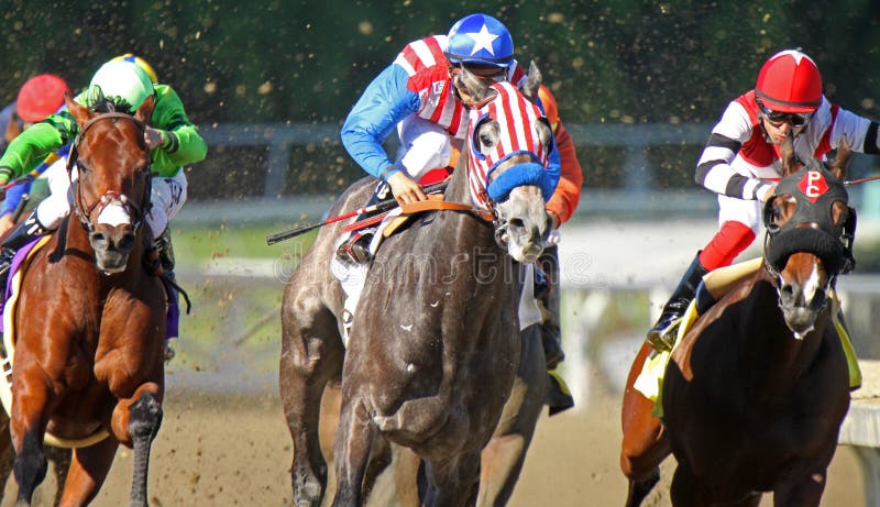 Head on Racing Action editorial image. Image of thoroughbred - 17592995