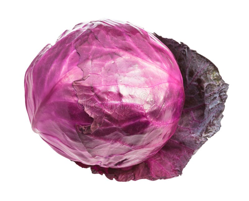 Red cabbage leaf stock photo. Image of salad, food, cabbage - 65856104