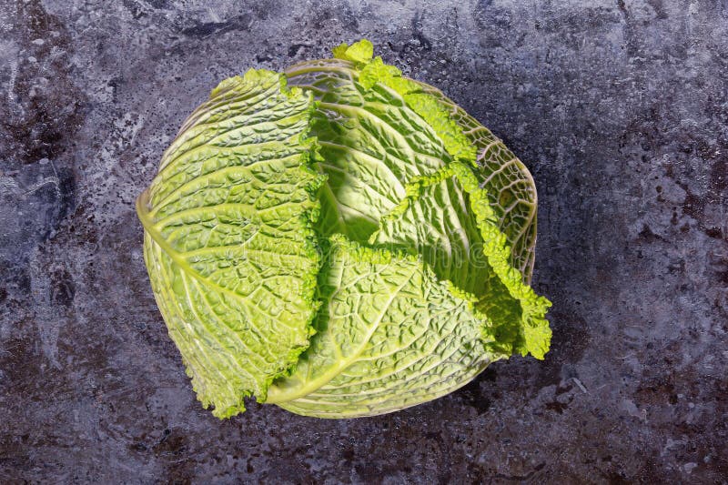 Head of Savoy cabbage stock image. Image of head, nutrition - 316136573