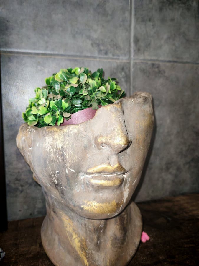 Head sculpture plant stock image. Image of green, food - 361004031