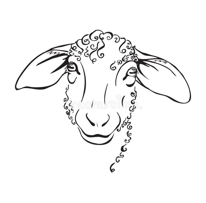 Head of Sheep Sketch, Black and White Drawing. Generative AI Stock ... Head of Sheep Sketch, Black and White Drawing. Generative AI Stock ...