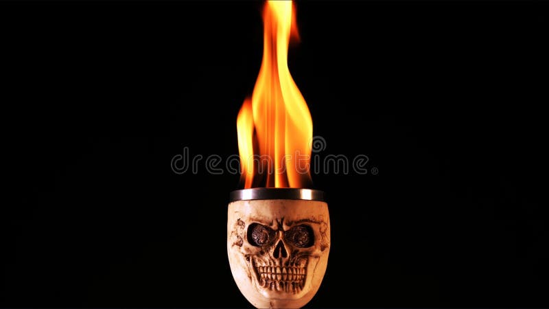 Head Skull Burning in Flames Stock Image - Image of scary, danger ...