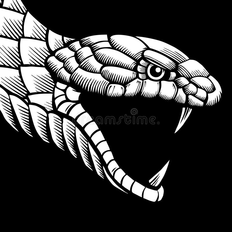 Head snake illustration stock vector. Illustration of nature - 267397397