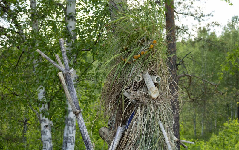 Head of Straw Puppet in the Forest. Eyes and Nose of Straw Puppet are ...