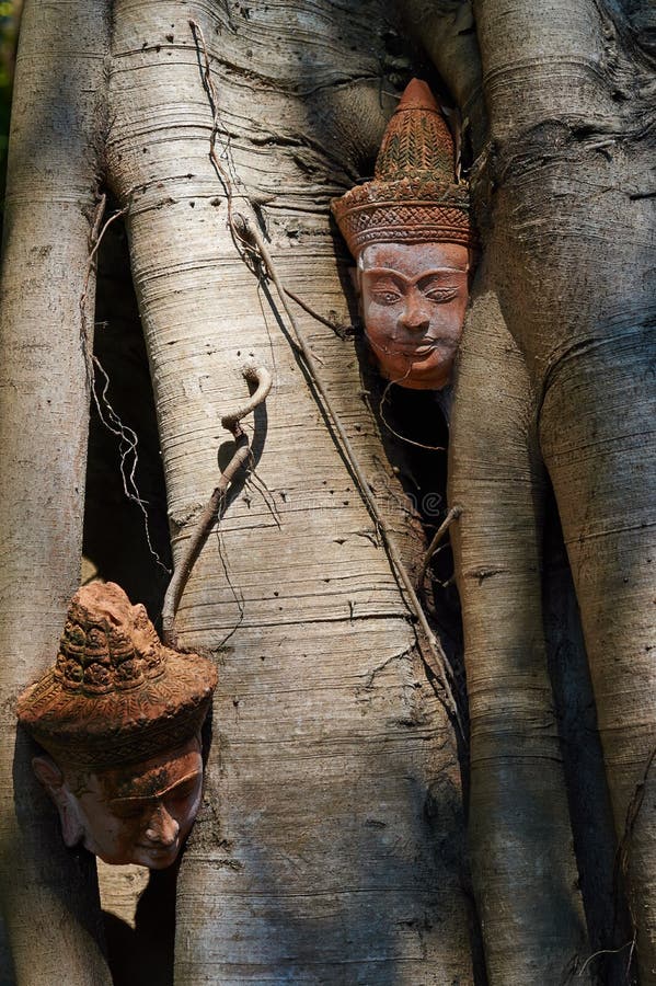 Head in tree stock photo. Image of tradition, wood, buddha - 29280028