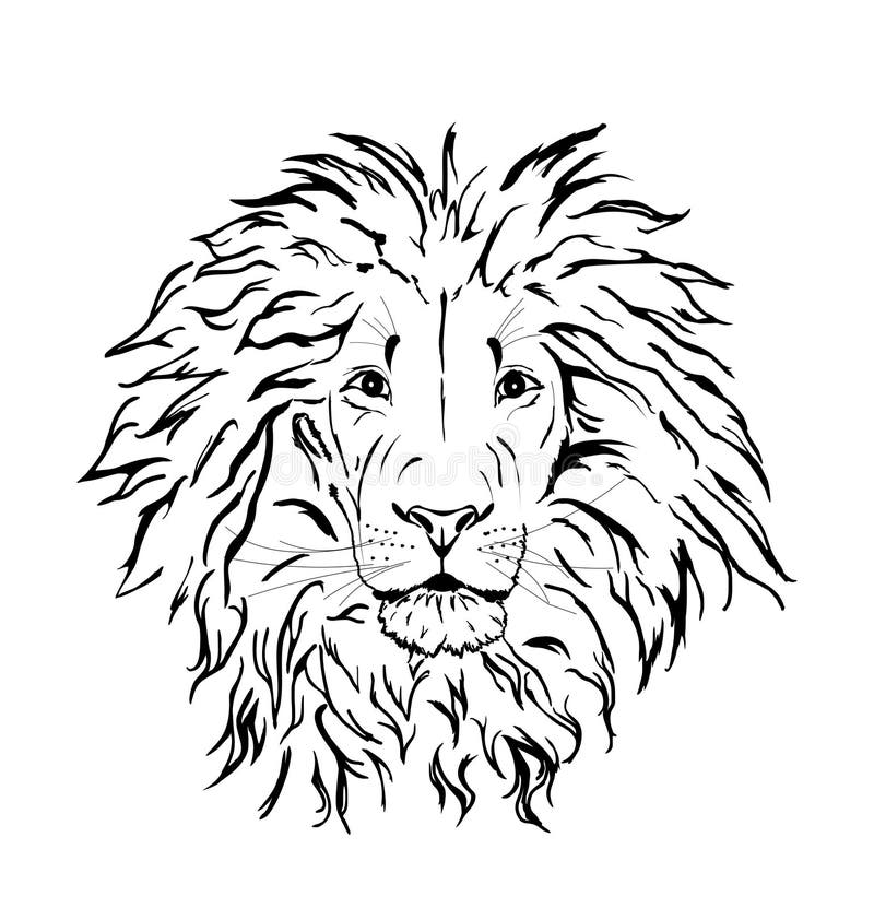 Blyertsritning Av Ett Lejonhuvud Stock Illustrationer - Illustration av ...