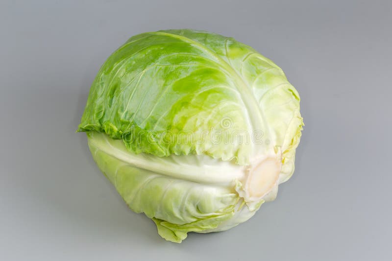 Head of the Young White Cabbage on a Gray Background Stock Photo ...