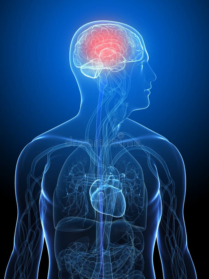 Headache/migraine stock illustration. Illustration of lobe - 11898217