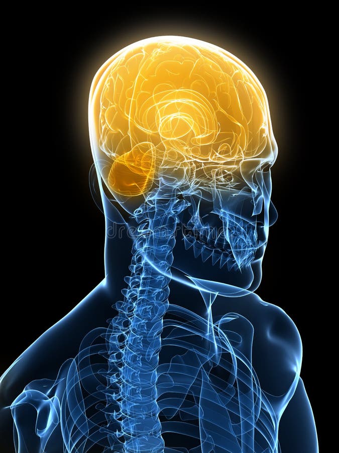 Headache/migraine stock illustration. Illustration of intellect - 11954120