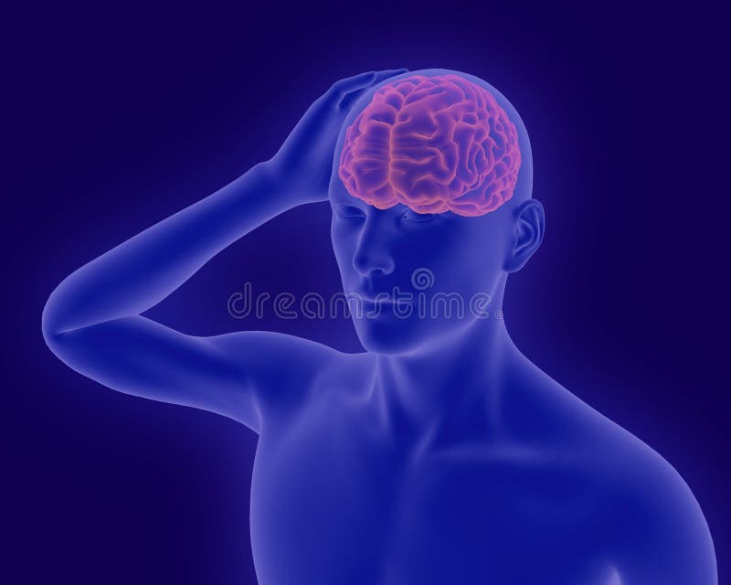 This is a Picture of a Human Body with a Brain and Nervous System Stock ...