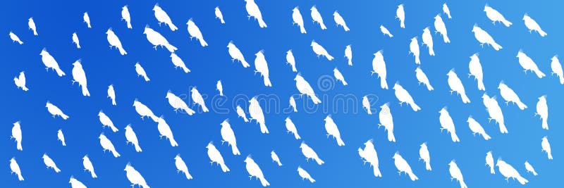 Header Background Birds Crested Bunting Stock Illustration ...