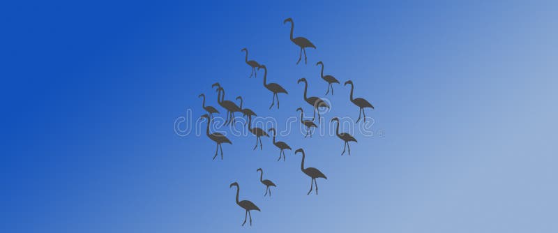 Header Background Birds Greater Flamingo Flock with Sun Stock ...