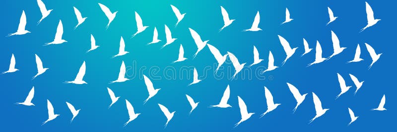 Header Background Flying Birds River Tern Stock Illustration ...