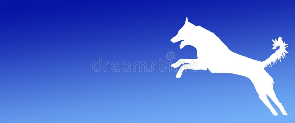 Header Background Pet Dog Jumping on Blue Gradient Background Stock ...