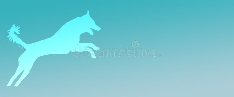 Header Background Pet Dog Jumping on Turquoise Gradient Background ...