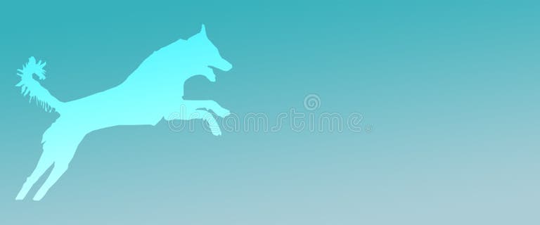 Header Background Pet Dog Jumping on Turquoise Gradient Background ...