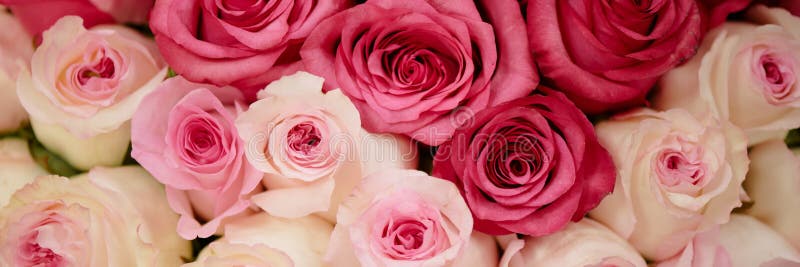 Header with Different Types of Roses Stock Image - Image of website ...