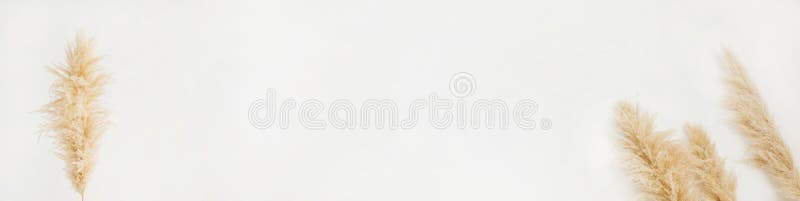 Header with a White Toy Fence on a Wooden Pink Background. Stock Image ...