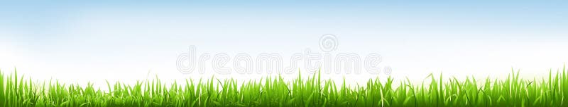 Header with Grass stock vector. Illustration of curve - 195612124