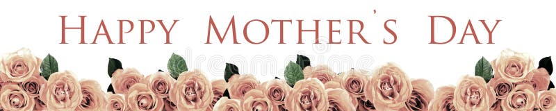 Header with pink roses stock image. Image of heart, holiday - 83537233