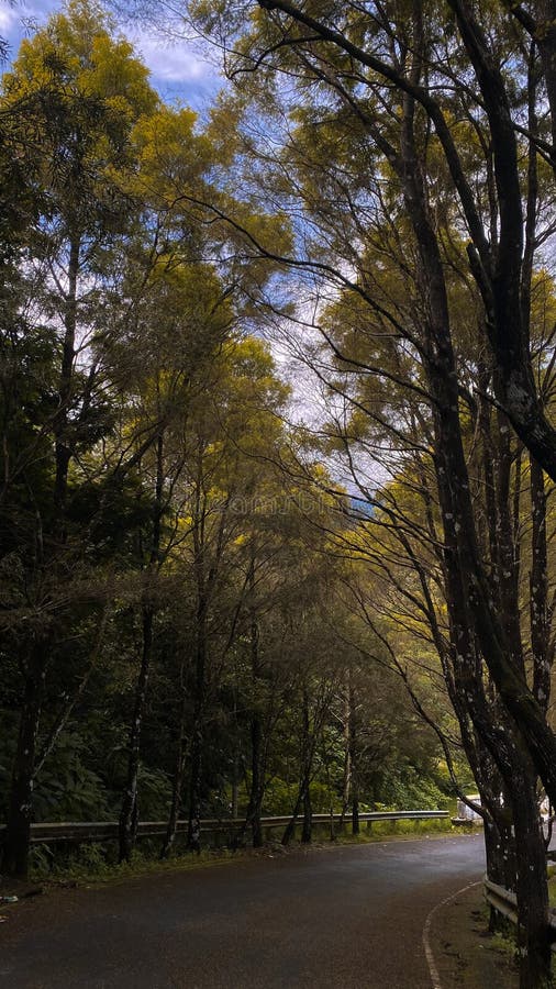 Heading for winter stock photo. Image of heading, world - 265471900