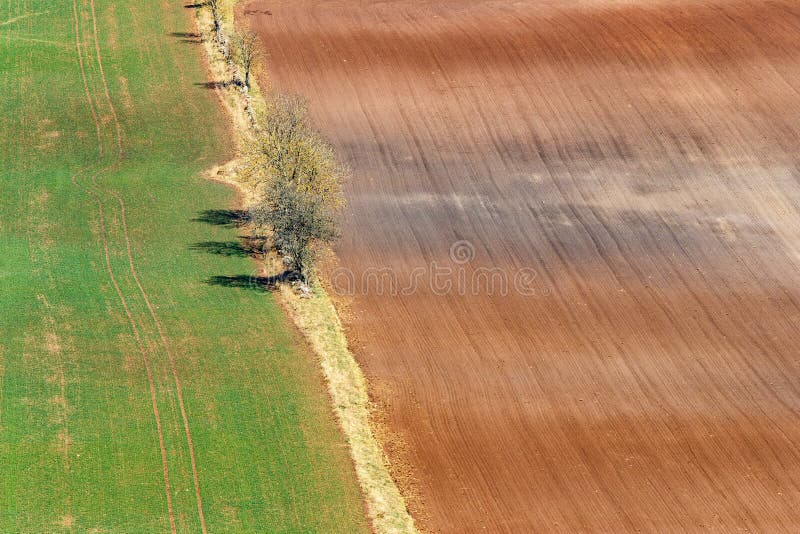 Headland with Trees between Two Fields in Spring Stock Image - Image of ...