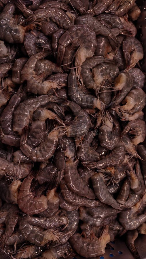 Headless Brown Prawn Stock Photos - Free & Royalty-Free Stock Photos ...