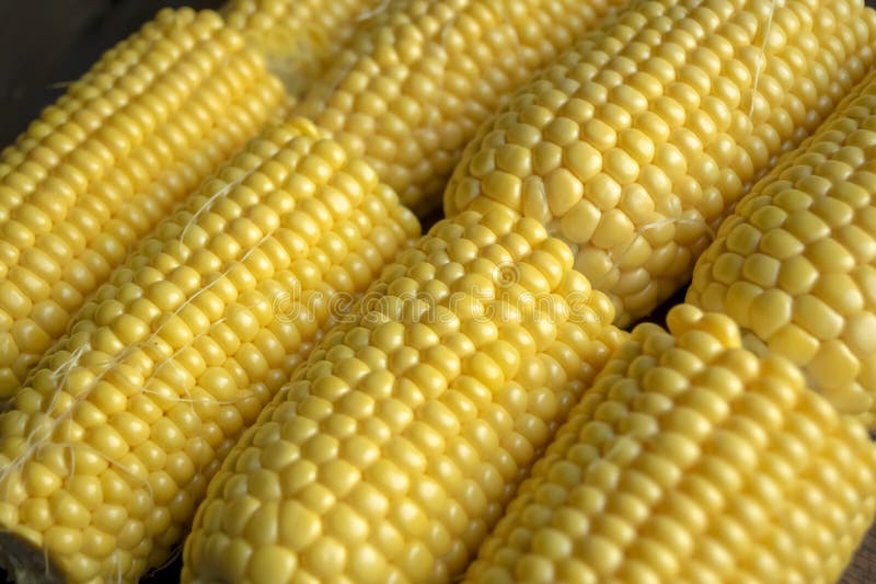 Heads of Corn Lie in a Row. Sugar Heads. Cooking Corn. Halves of Corn ...