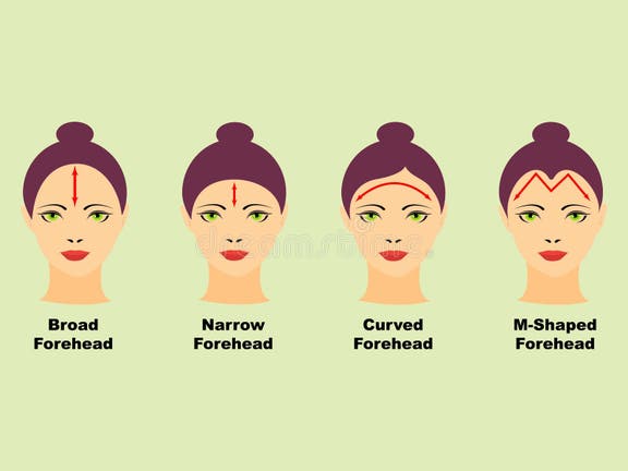 Heads of Women with Different Types of Forehead Stock Vector ...