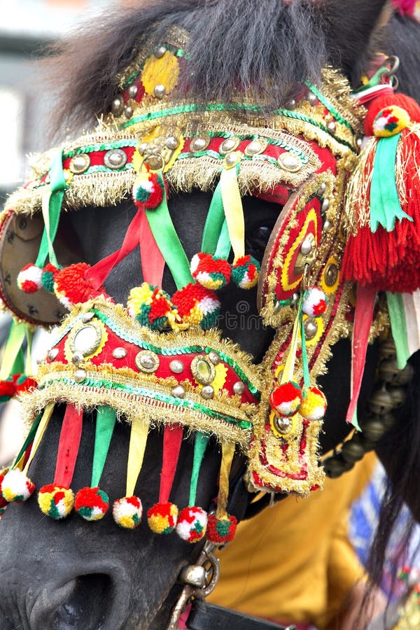 Headshot of an horse stock photo. Image of purebred, beauty - 72686166