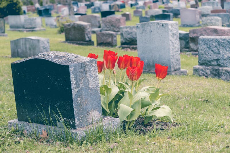 Headstones in a cemetary stock photo. Image of gravesite - 71474764