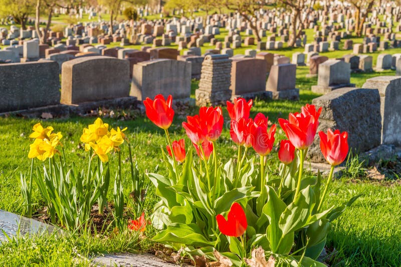 Headstones Montreal Cemetery Sunset Stock Photos - Free & Royalty-Free ...