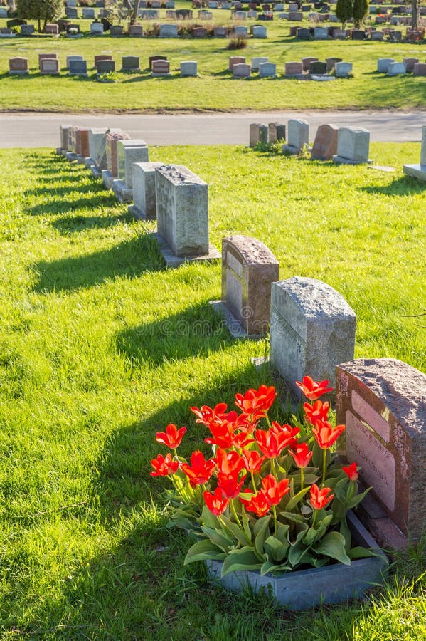 Headstones in Montreal Cemetery at Sunset Stock Image - Image of ...