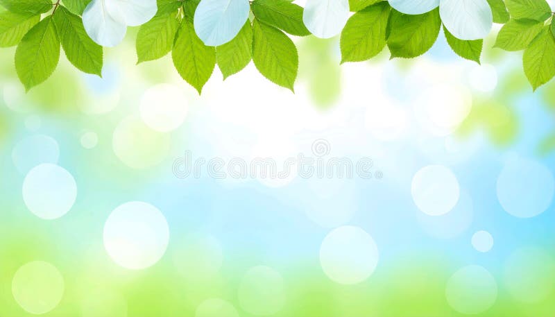 Healing Background with Soft Gradient and Floating Particles – AI ...