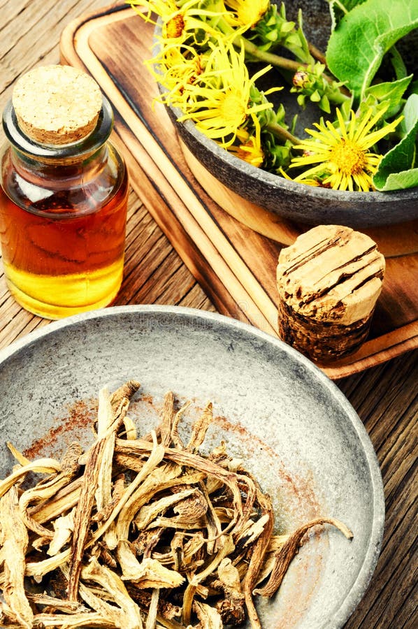 Root and Tincture of Elecampane Stock Photo - Image of herbalism ...