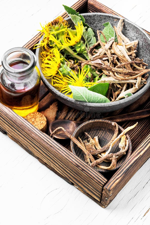 Root and Tincture of Elecampane Stock Image - Image of herbaceous ...