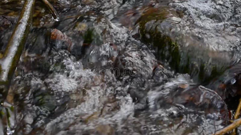 Stream of Water Flows through the Rocks Stock Video - Video of summer ...