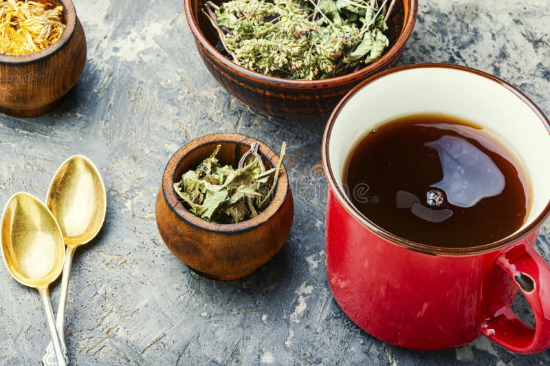 Healing herbal tea stock image. Image of mint, green - 181037805