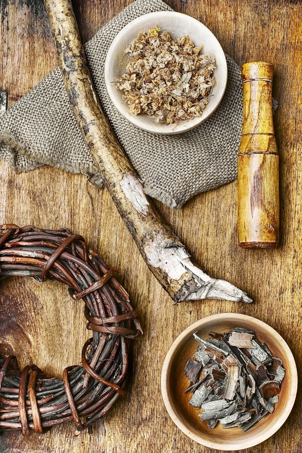 Healing root of elecampane stock image. Image of preparation - 80908977