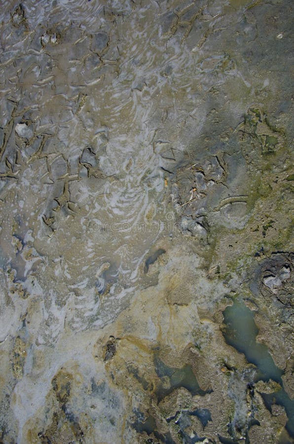 Healing Salt texture stock photo. Image of landscape - 122526214