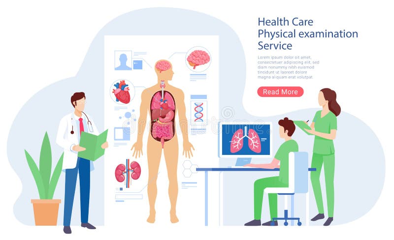 Health Care Physical System Examination Service Vector Illustration ...