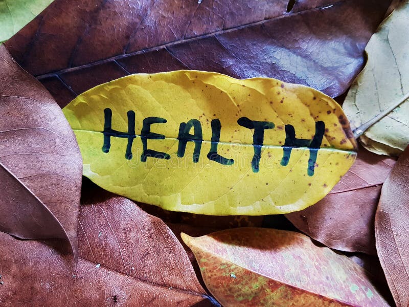 Health Concept Using Dried Leaves Stock Photo - Image of mindfulness ...