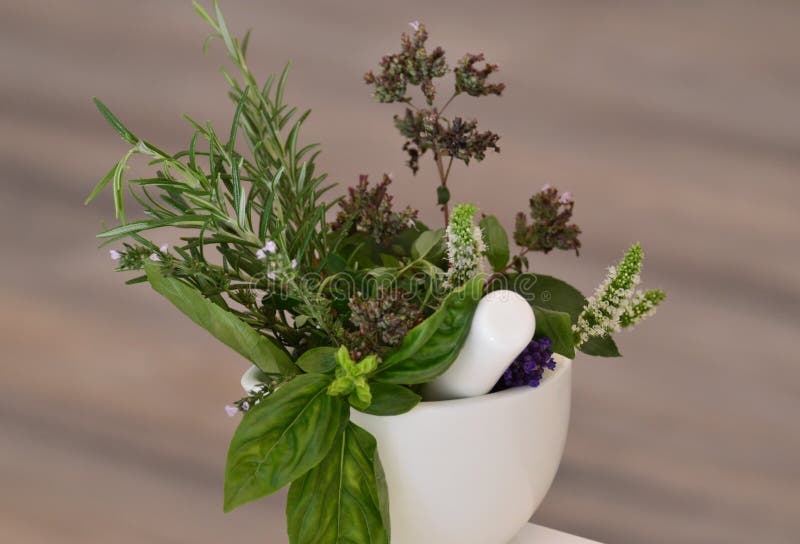 Health stock photo. Image of blafrac14, green, flowers - 59111284