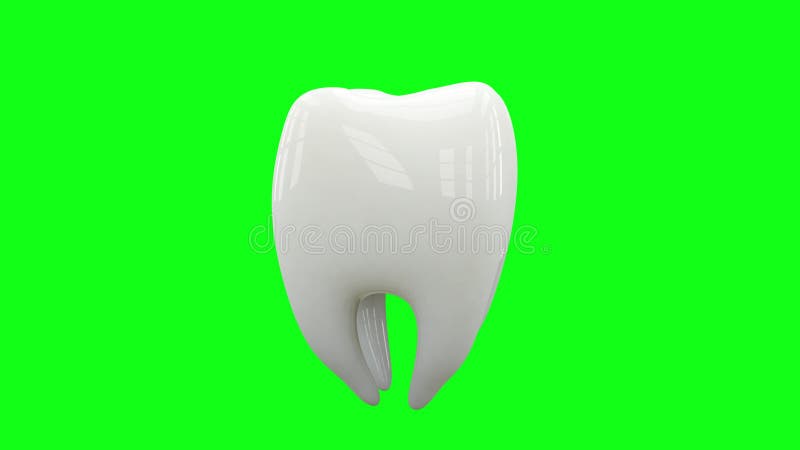Health Tooth Loop Rotate on Green Screen Stock Footage - Video of ...
