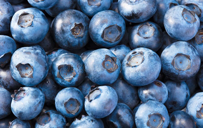 Healthy Background. Blueberry Texture. Blueberries Background. Fruit ...