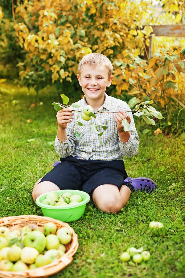 Vegan concept stock photo. Image of length, apple, food - 61739856